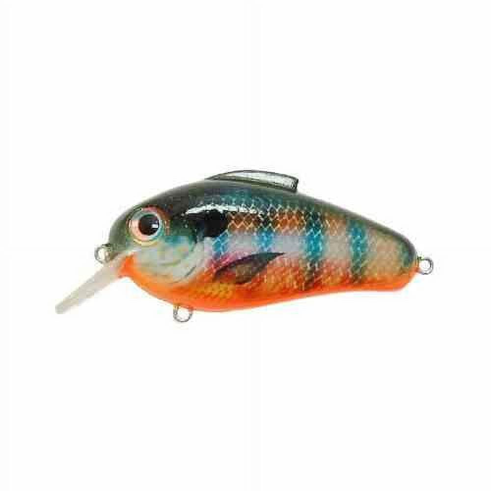 Rat-L-Trap Echo 1.75 Squarebill Crankbait 3" 5/8 oz. - Stumpknocker ...