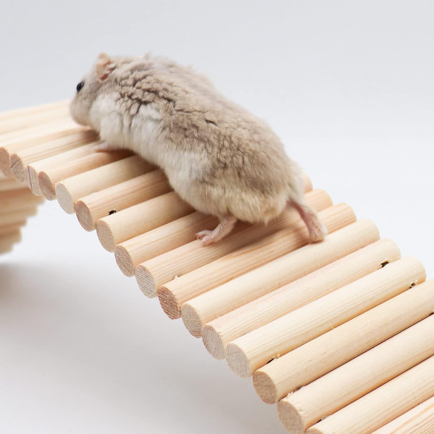Rat Ladder Bridge, Wooden Climbing Ladder, Small Animals Cage ...