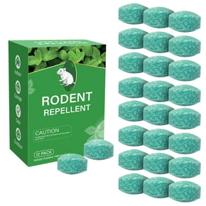 Rat Control in Pest Control - Walmart.com