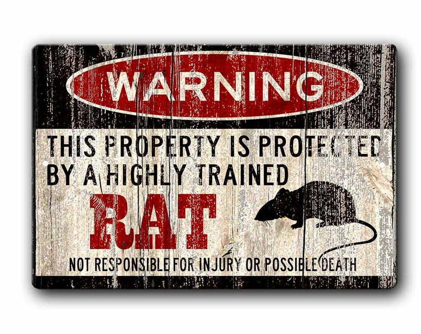 Rat Sign,Funny Pet Rat Sign,Rat Lover Gift,Funny Metal Signs,Rat ...