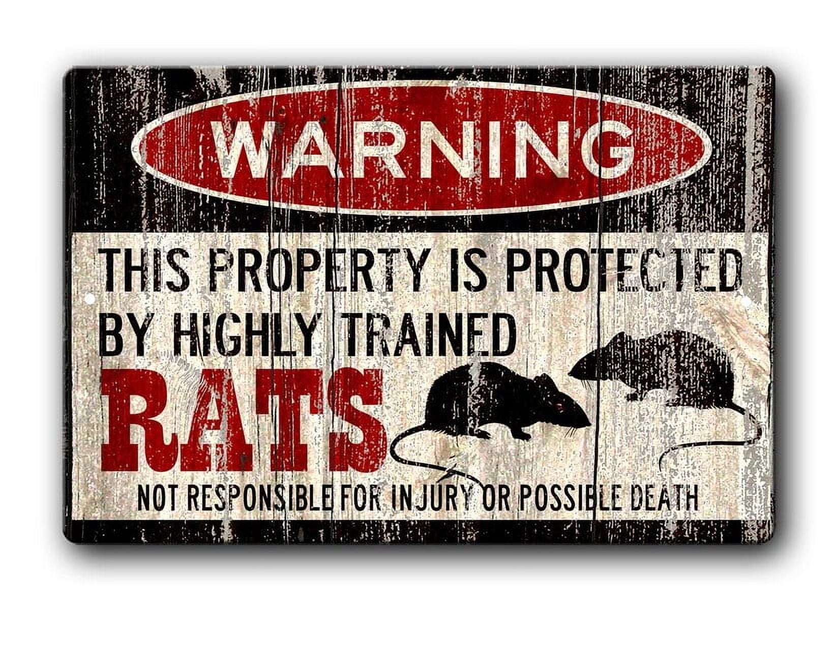 Rat Sign,Funny Rats Sign,Rat Lover Gift,Funny Metal Signs,Rat ...