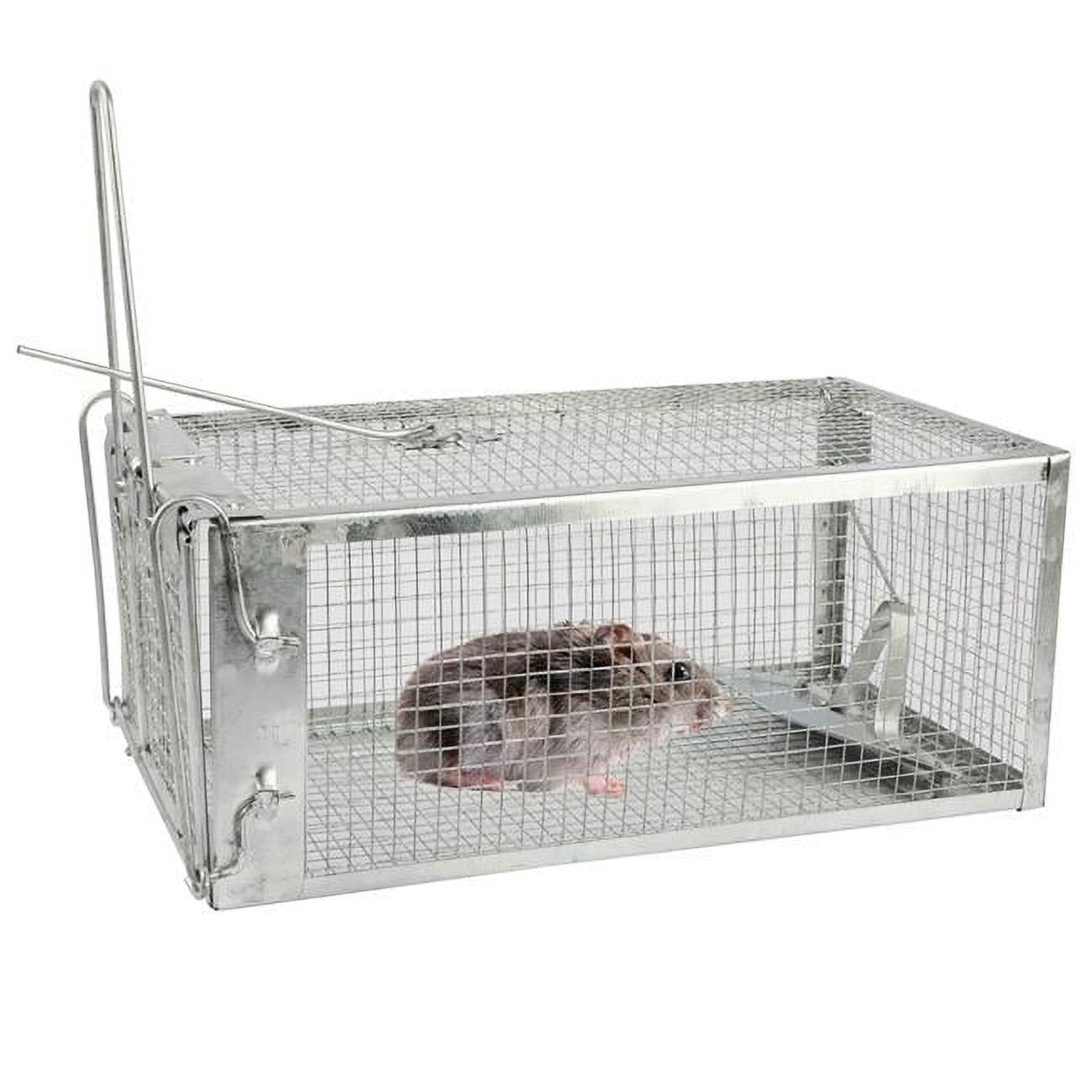 Rat Trap Cage Humane Live Rodent Trap Cage Galvanized Iron Mice Mouse ...