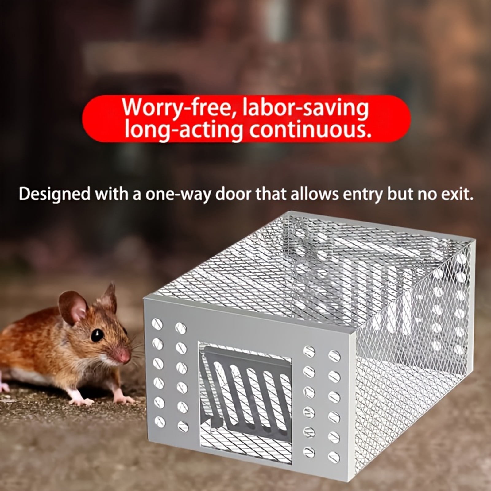 Rat Trap, Humane Mouse Trap with Opening Door Design, Automatic ...