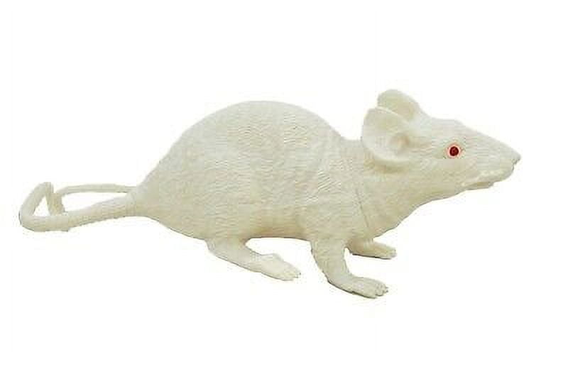 Rat, White Realistic Toy Model Figurine Plastic Decoration, Kids ...