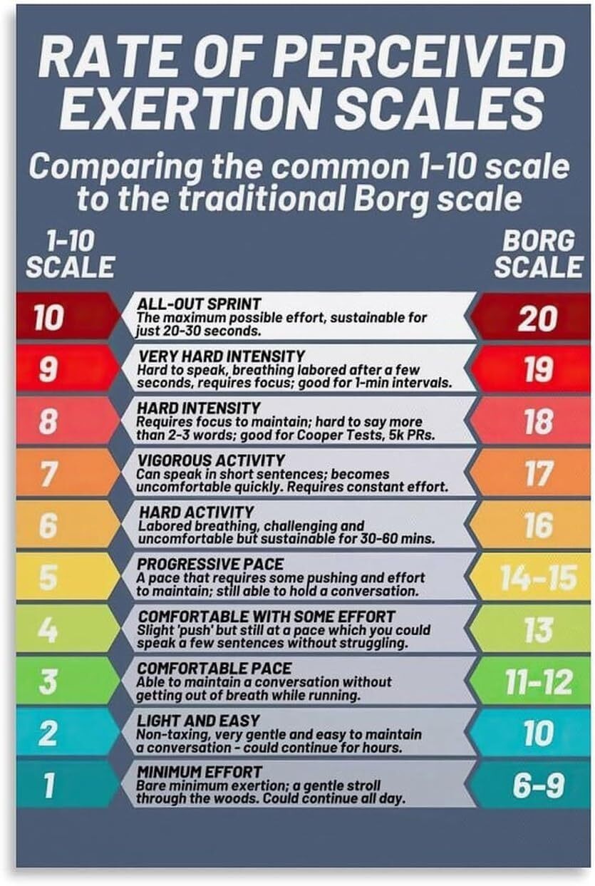 Rate of Perceived Exertion Scales Poster Rpe Chart Poster Wall Art for ...