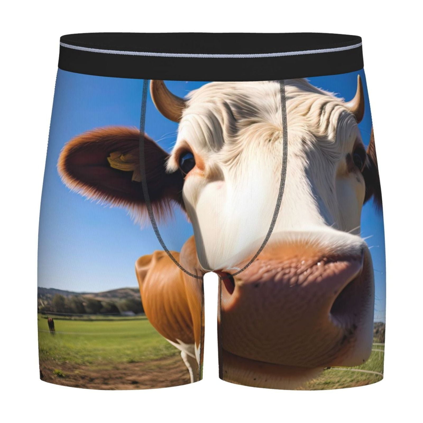 Rateoe Blue Sky Meadow Cute Cow Print Men’s Underwear Boxer Briefs Soft ...