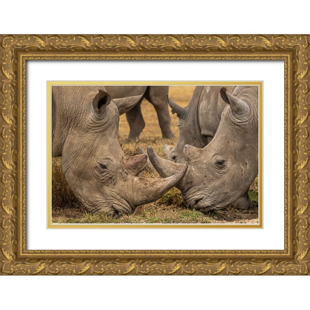 Ratna Prem, Venkata 24x17 Gold Ornate Wood Framed with Double Matting ...