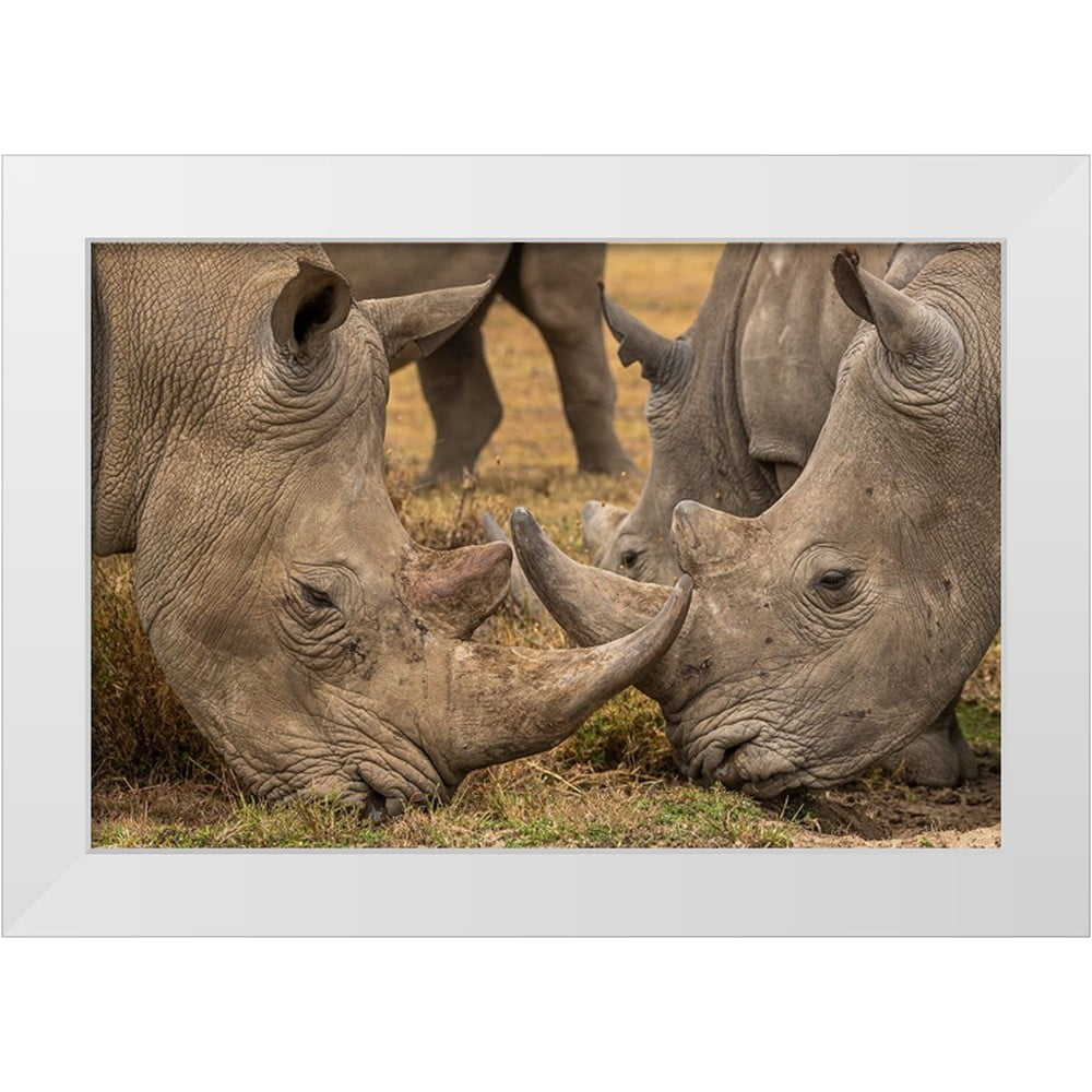 Ratna Prem, Venkata 32x23 White Modern Wood Framed Museum Art Print ...