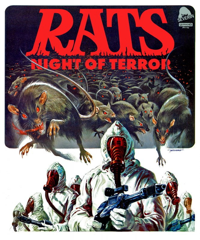 Rats: Night of Terror - Walmart.com