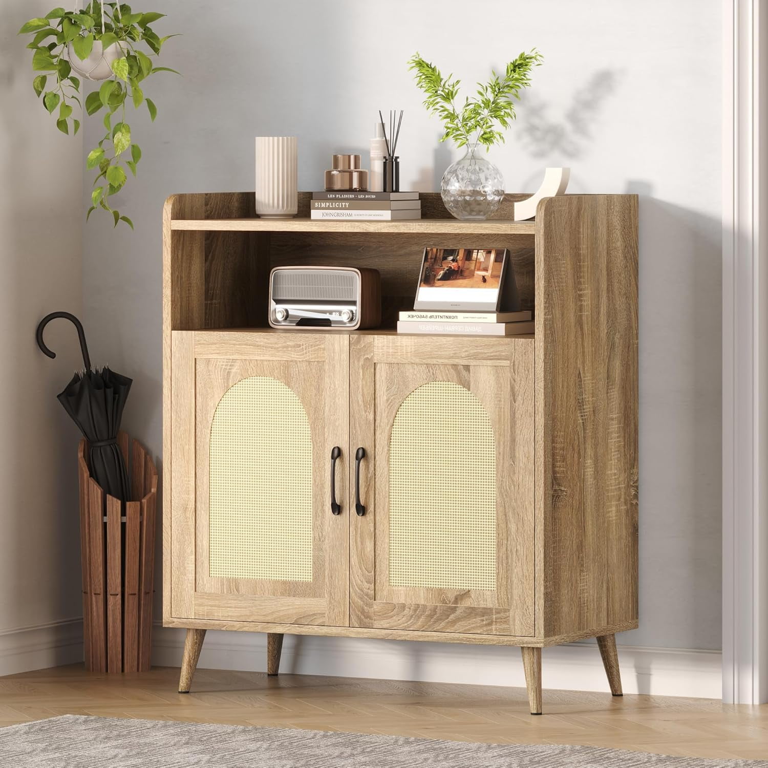 Rattan Storage Cabinet, Entryway Cabinet with Doors, Accent Cabinets ...