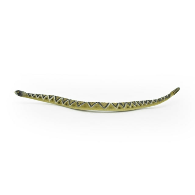 Rattlesnake, Diamond Back, Museum Quality, Realistic, Rubber, Reptile ...