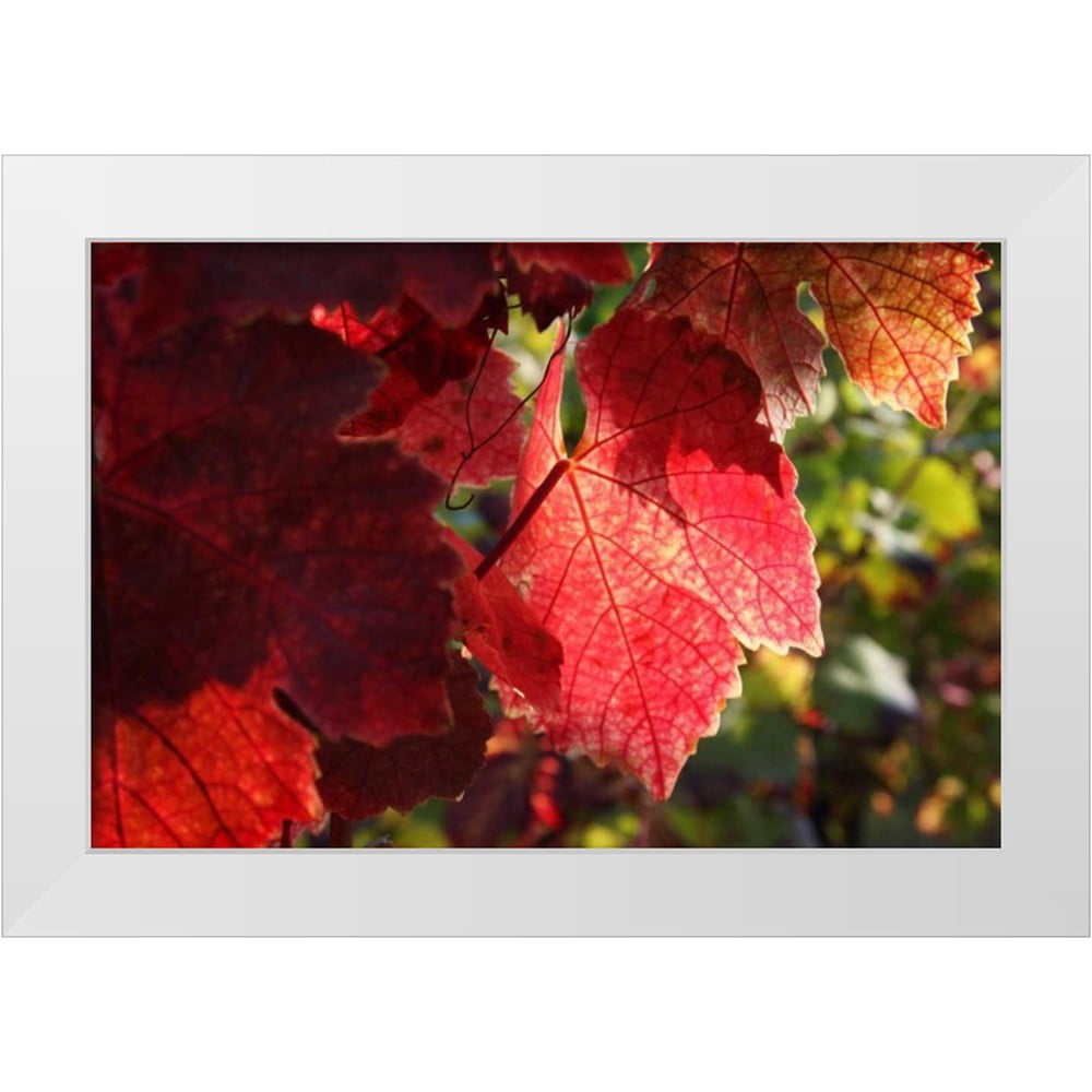 Rauscher, Michel 14x11 White Modern Wood Framed Museum Art Print Titled ...