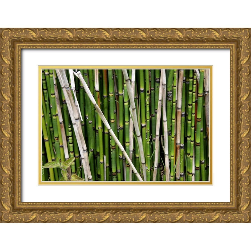 Rauscher, Michel 32x23 Gold Ornate Wood Framed with Double Matting ...