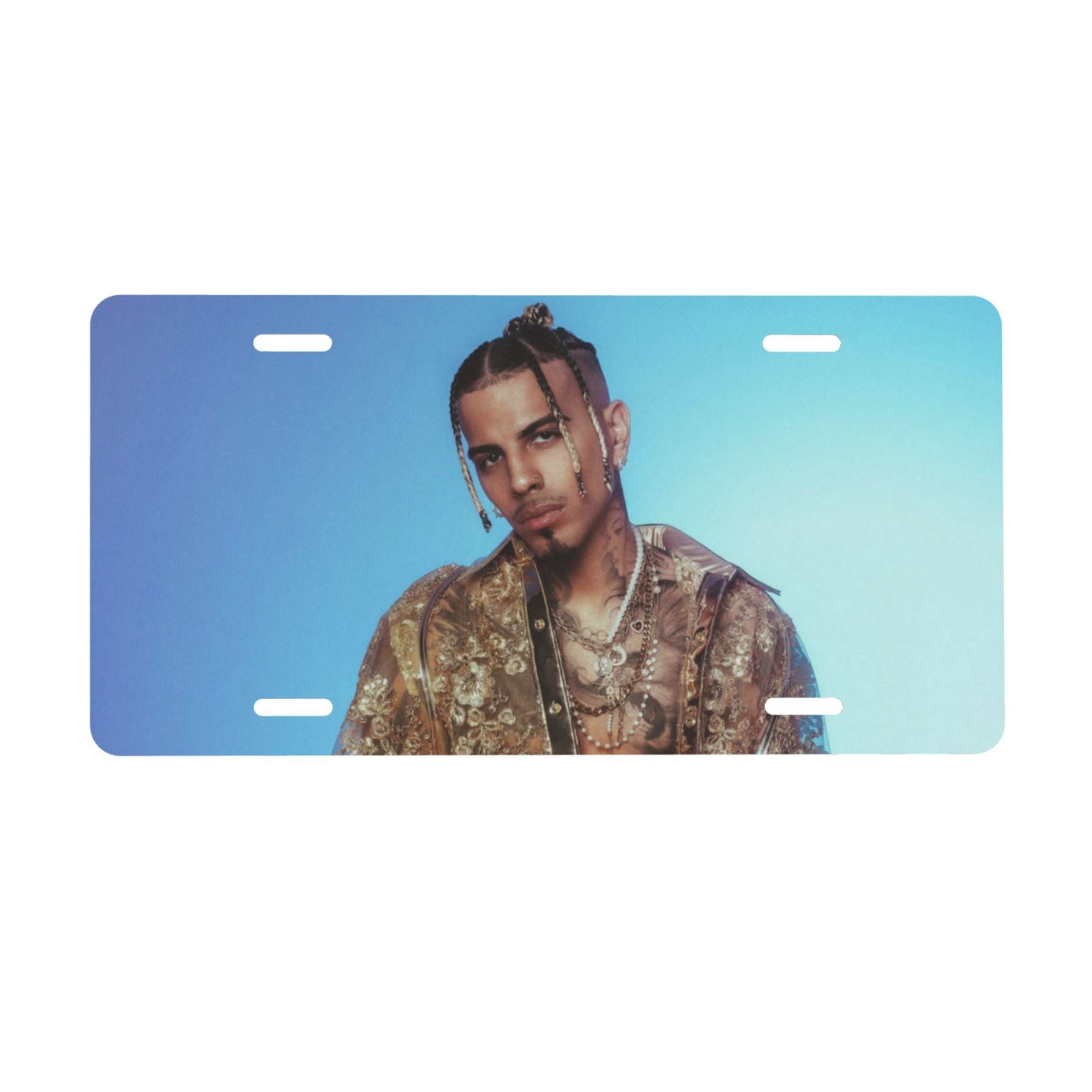 Rauw Alejandro Singer License Plate Cover Aluminum Novelty Vanity Tag ...