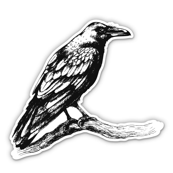 Raven - 5" Vinyl Sticker - For Car Laptop I-Pad - Waterproof Decal ...