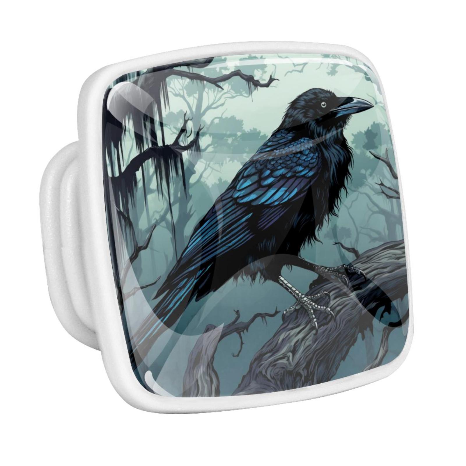 Raven Birds Fluorescent Drawer Pulls with Screws Square 4-Pack Glow ...