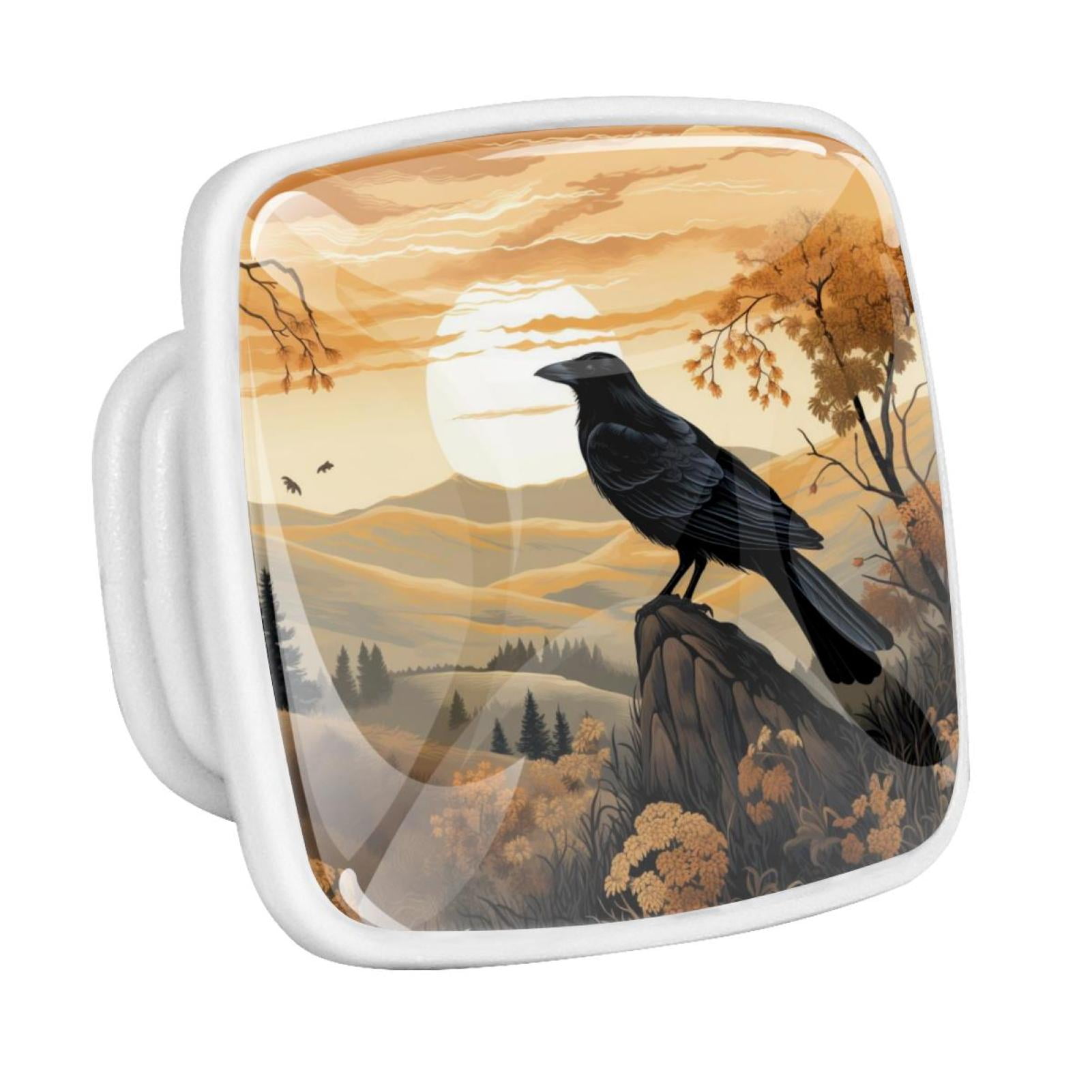 Raven Birds Fluorescent Drawer Pulls with Screws Square 4-Pack Glow ...