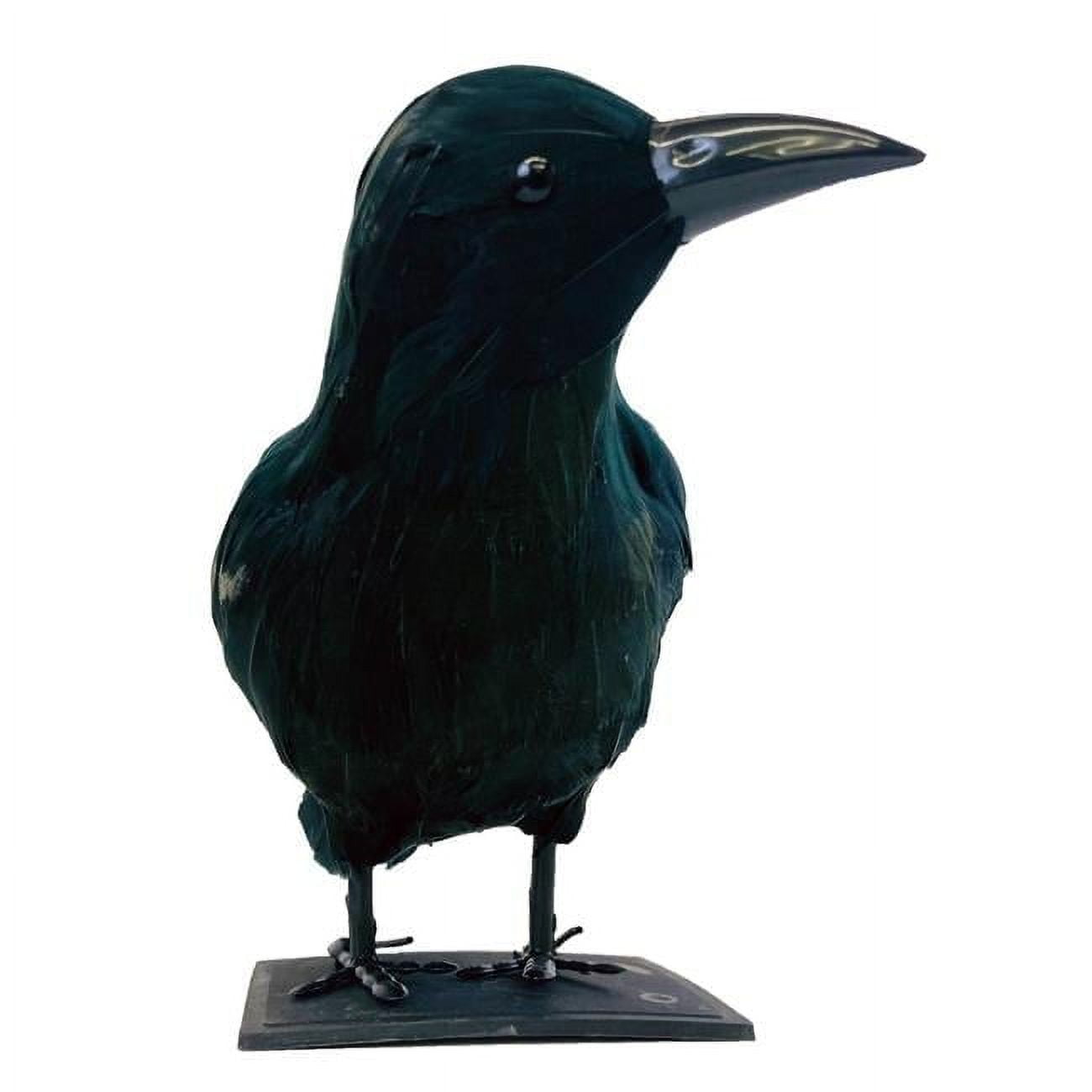 Raven Crow Toy, Black - Walmart.com