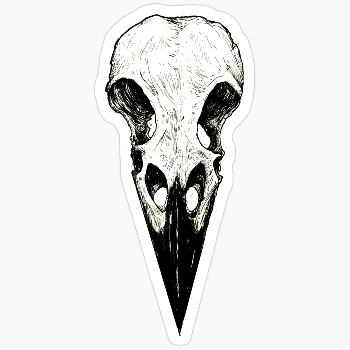 Raven Skull Sticker. Gift For You - Decorate Laptops, Water Bottles ...
