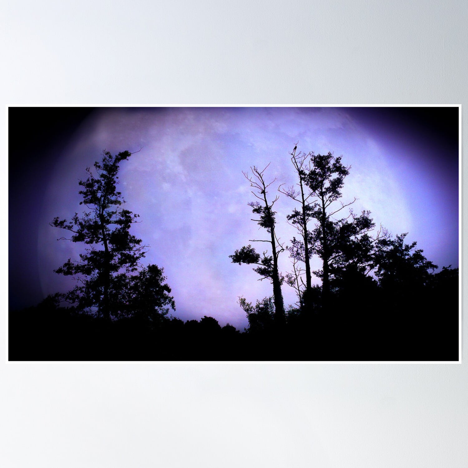 Raven Steals The Light Poster Wall Art, Modern Wall Decor, 24x36 ...