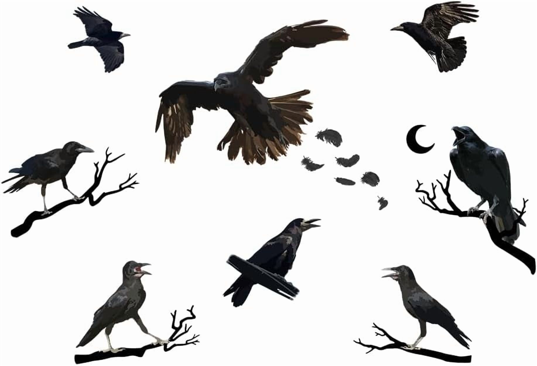 Ravens Crows Wall Stickers Black Crow Raven on Branches Wall Decals ...