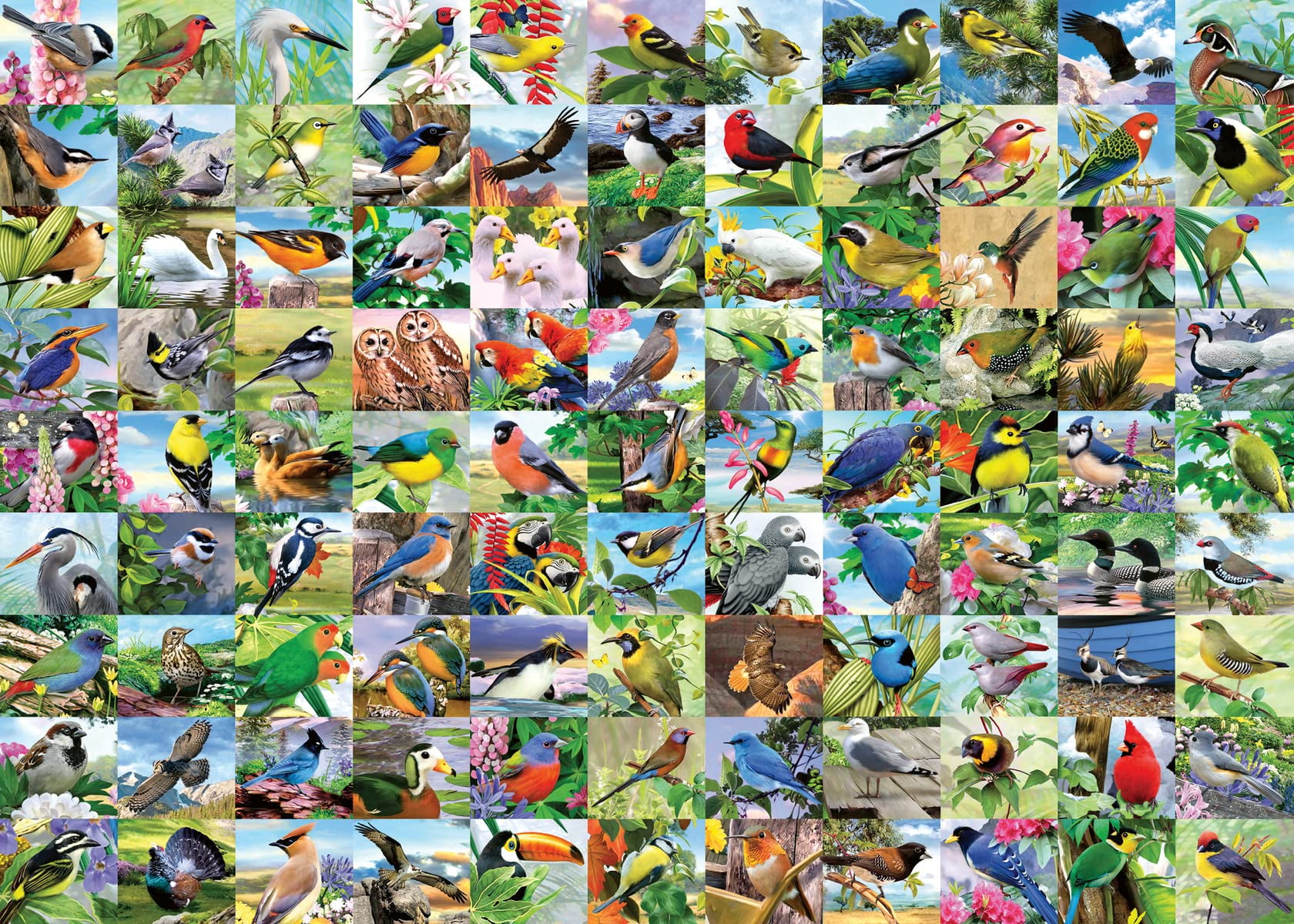 Ravensburger 99 Delightful Birds EC36 300 Piece Large Format Jigsaw ...