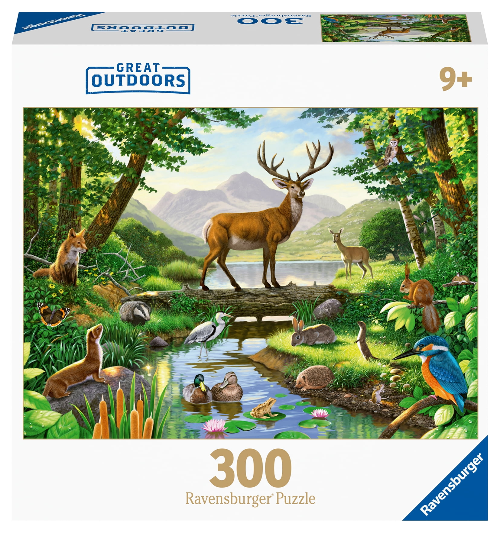 Ravensburger Great Outdoors Puzzle Series - Woodland Harmony, 300 Piece ...