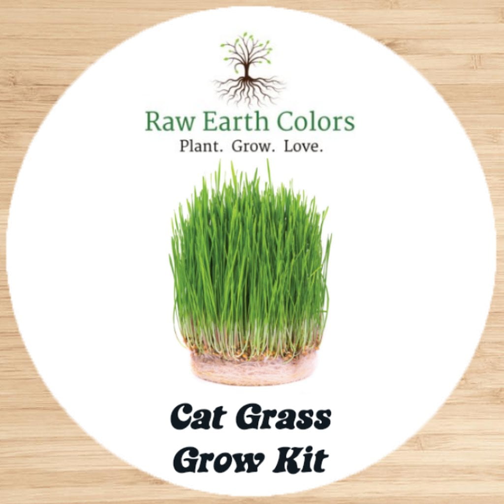 Walmart Premium Wheatgrass Cat Grass Seeds Planting Kit for Indoor ...