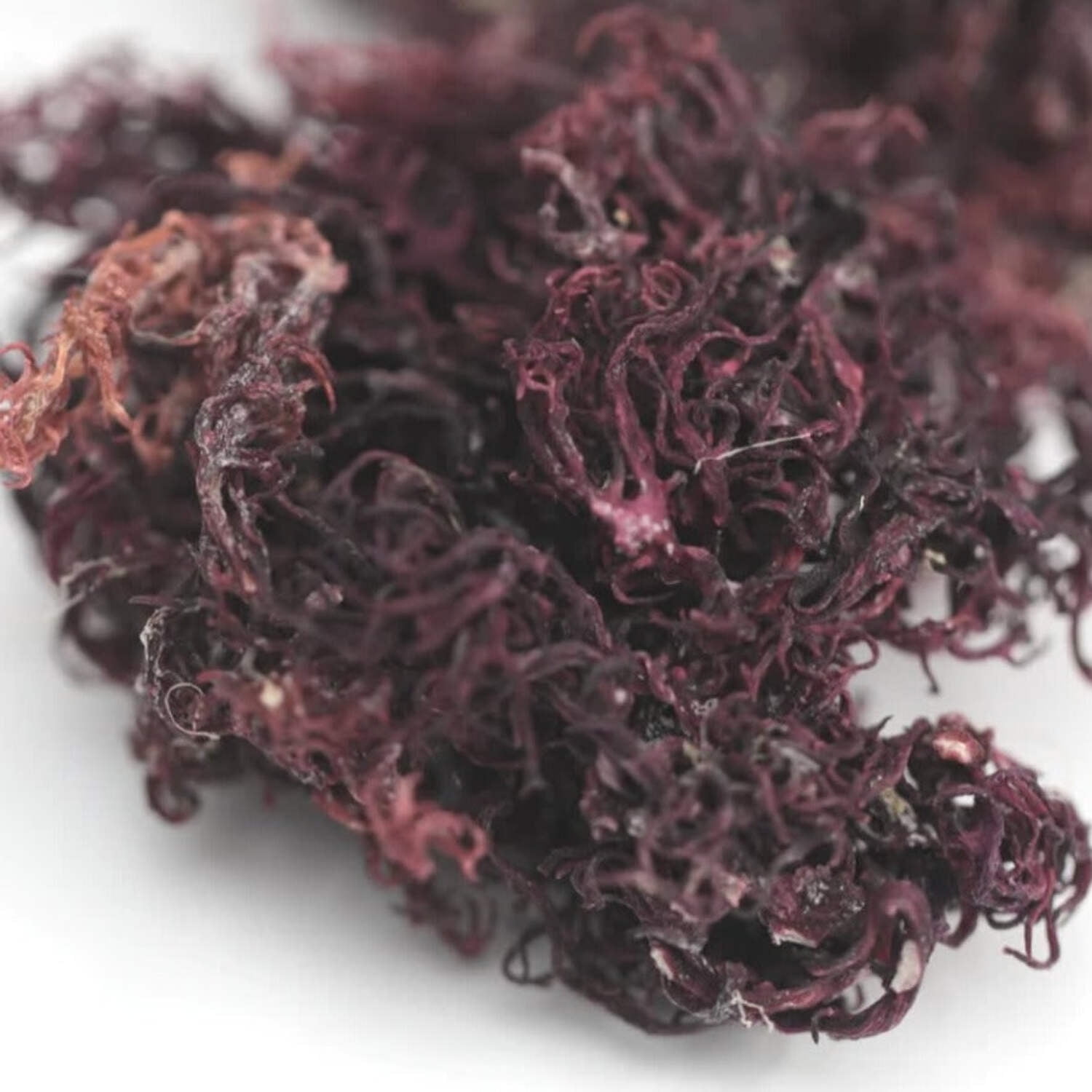 Raw Purple Sea Moss - Wildcrafted from Jamaica - Walmart.com