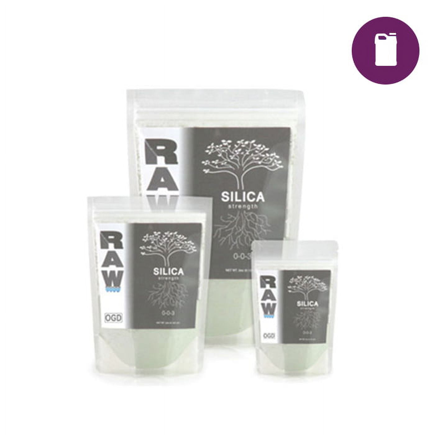 Raw Silica 2 lb - Walmart.com
