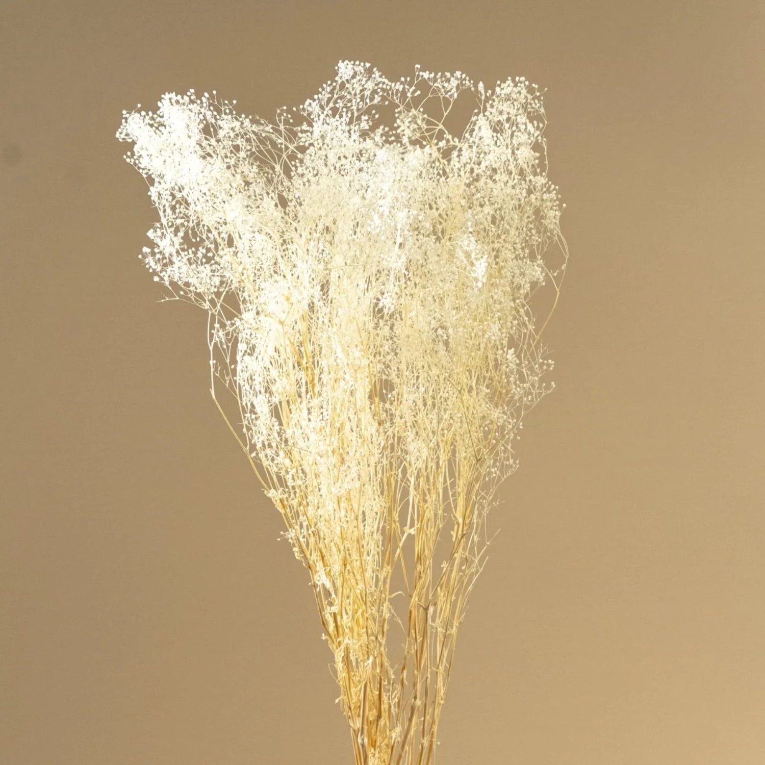 Raw Sola Wood Flowers - Centerpiece/Vase/Pot/Bouquet Fillers - -Baby's ...
