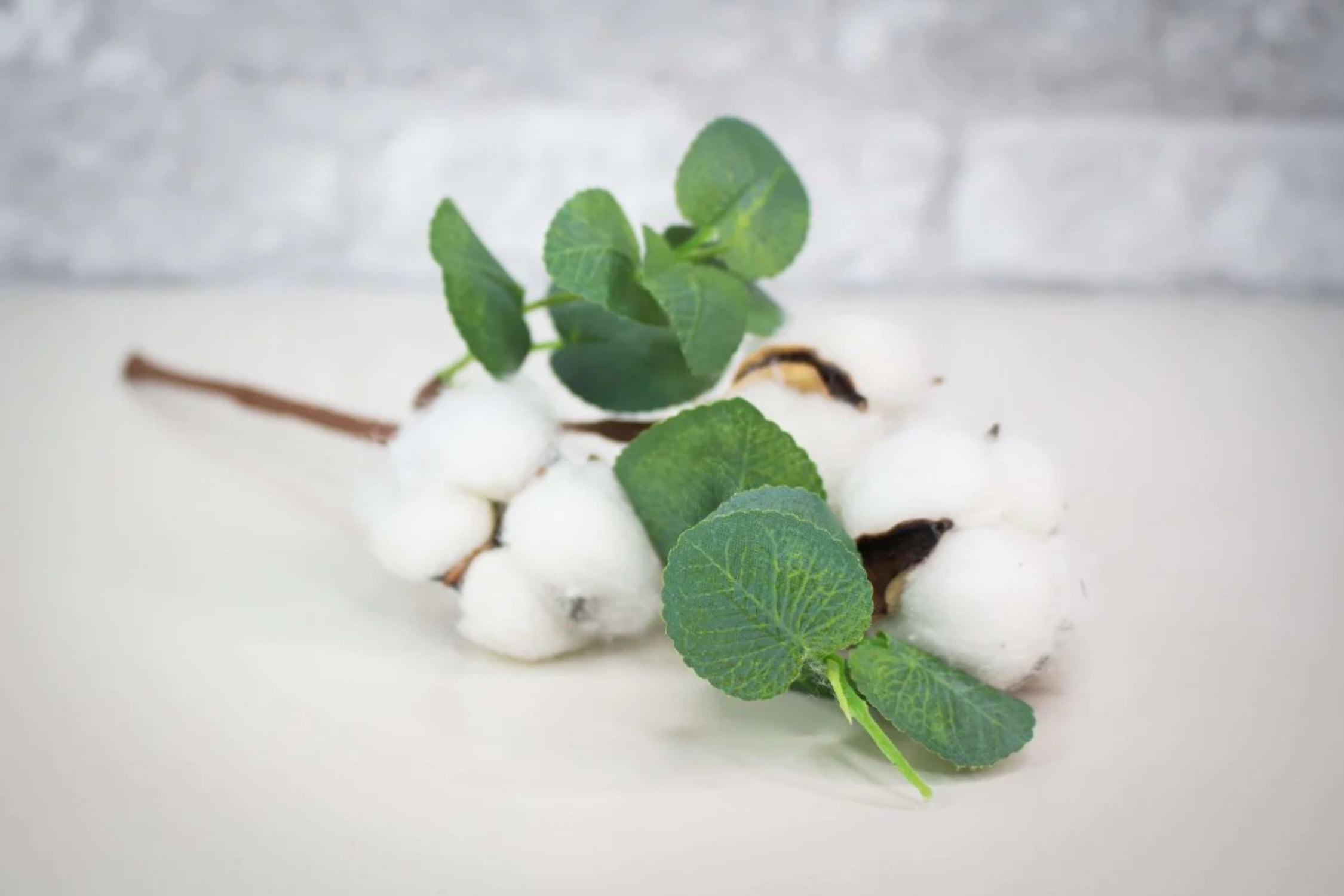 Raw Sola Wood Flowers - Centerpiece/Vase/Pot/Bouquet Fillers - -Cotton ...