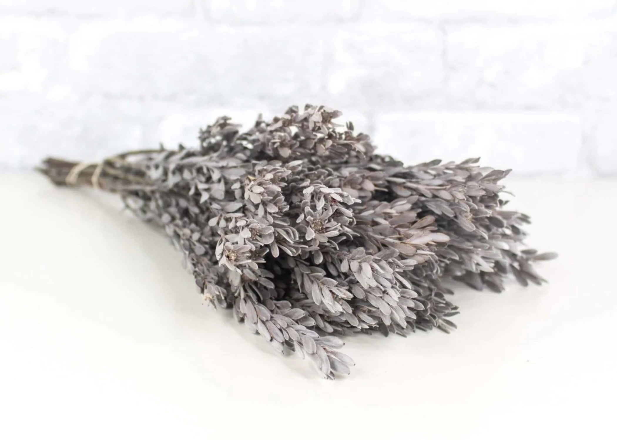 Raw Sola Wood Flowers - Centerpiece/Vase/Pot/Bouquet Fillers ...