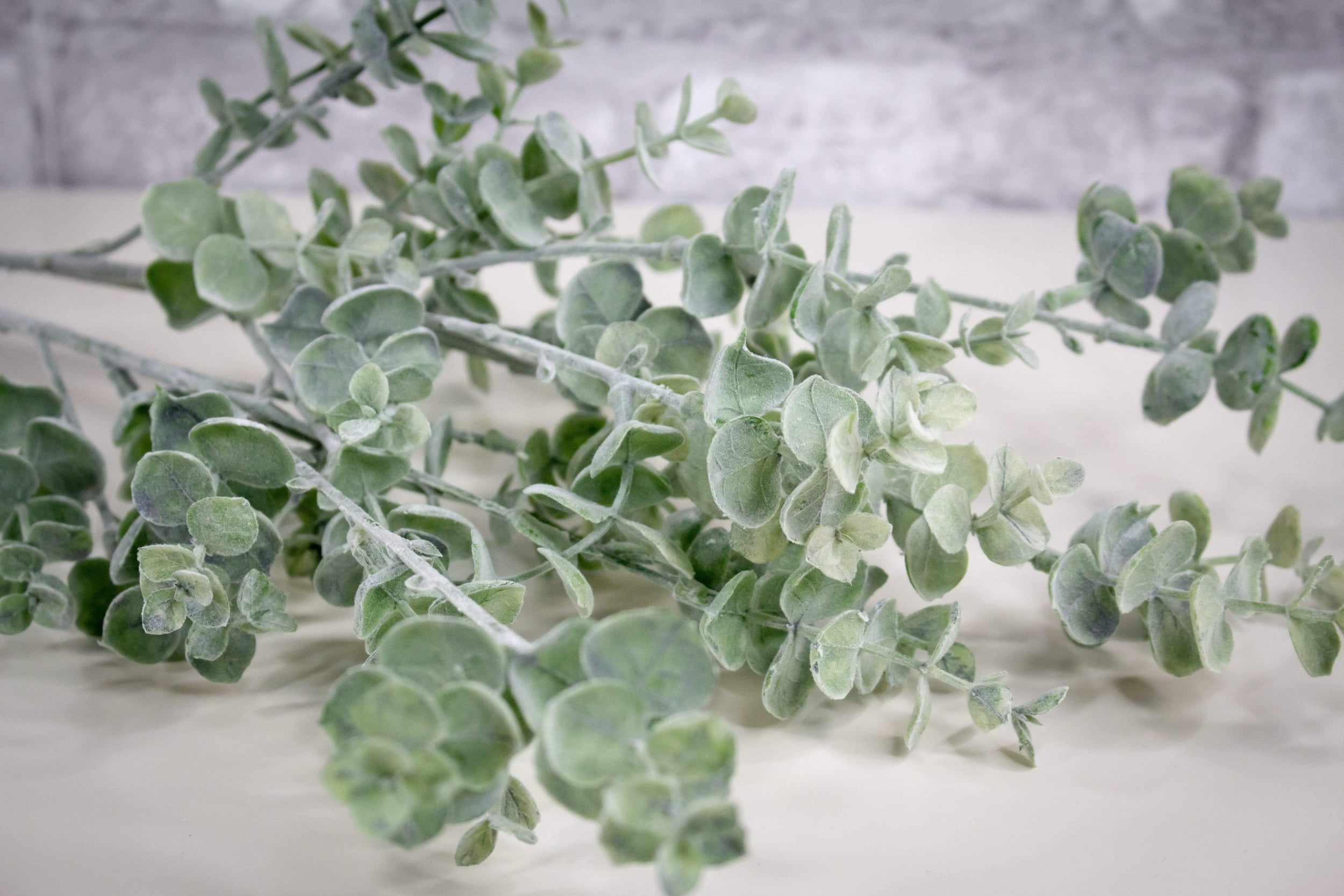 Raw Sola Wood Flowers - Centerpiece/Vase/Pot/Bouquet Fillers - -ficus spray variegated - Walmart.com