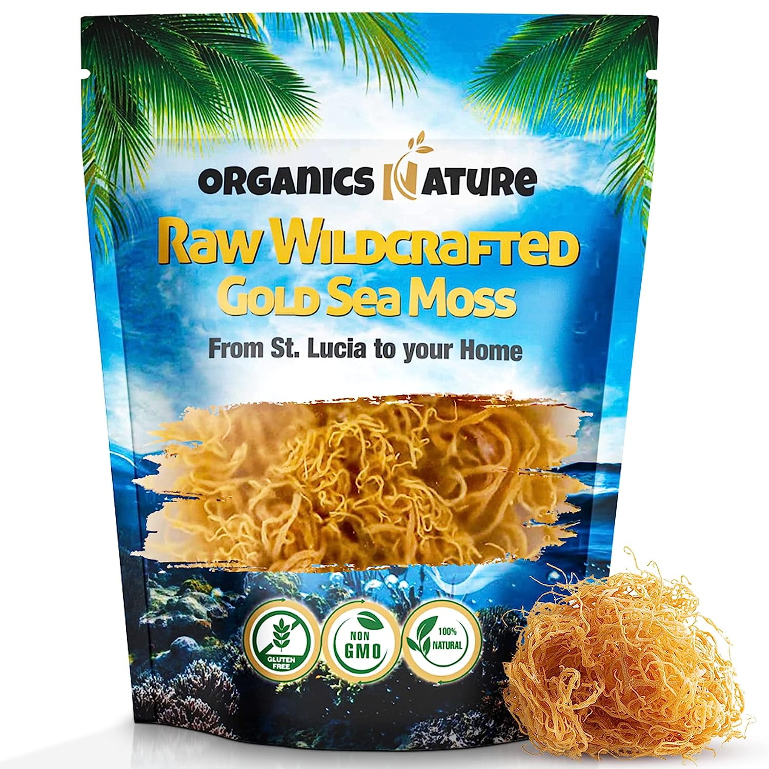 Raw Wildcrafted Sea Moss | Organic Wildcrafted & Non-GMO Certified | Dr ...