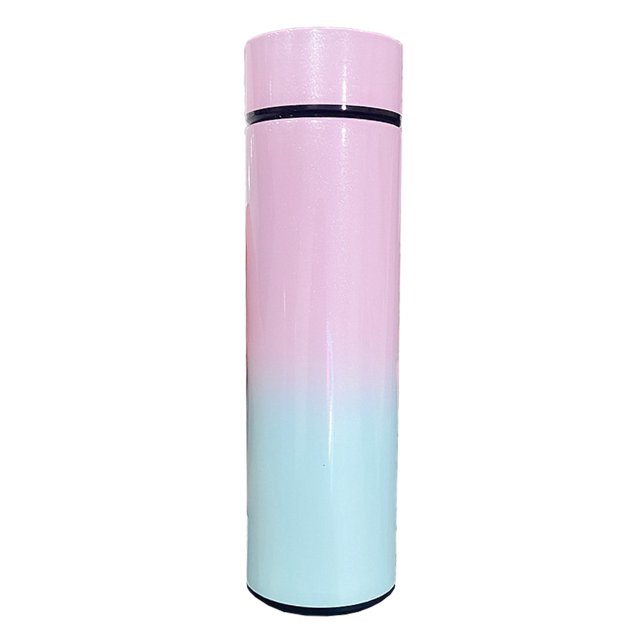 Rawiri Temperature-Visible, Double-Wall Insulated Water Bottle with LED ...