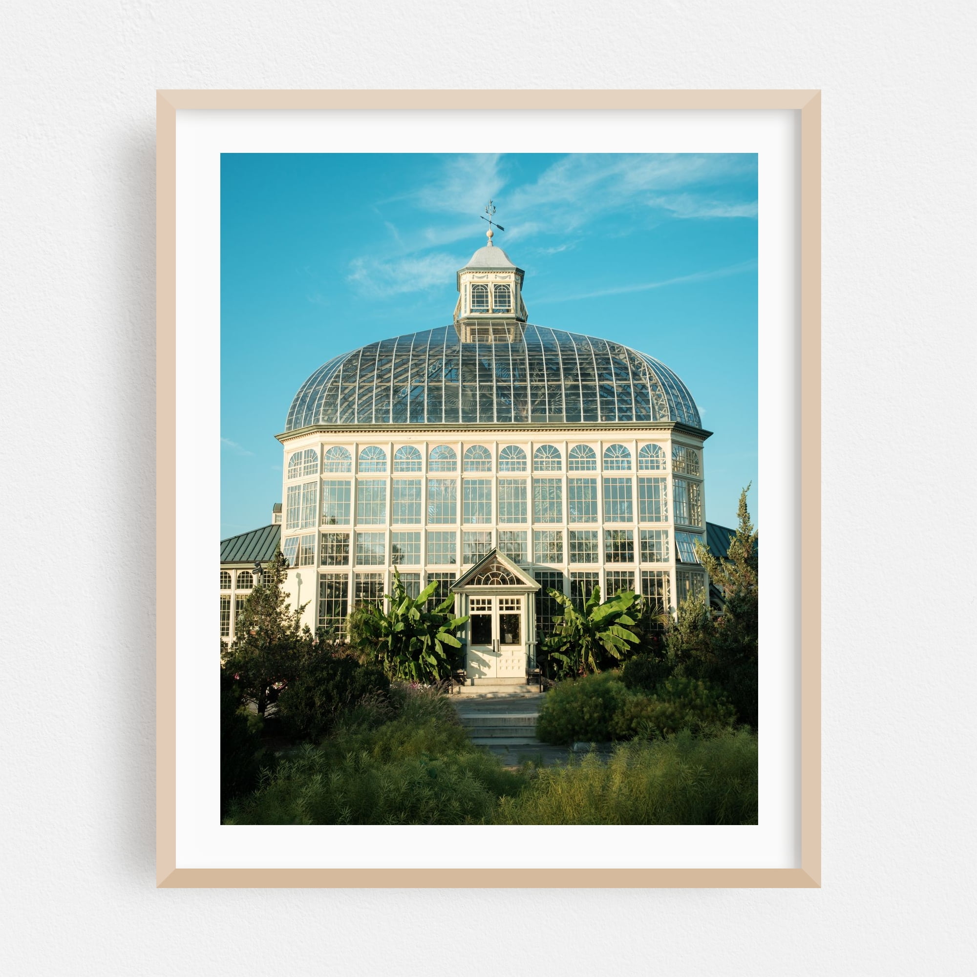 Rawlings Conservatory, Baltimore 03 - Baltimore Maryland Photography ...
