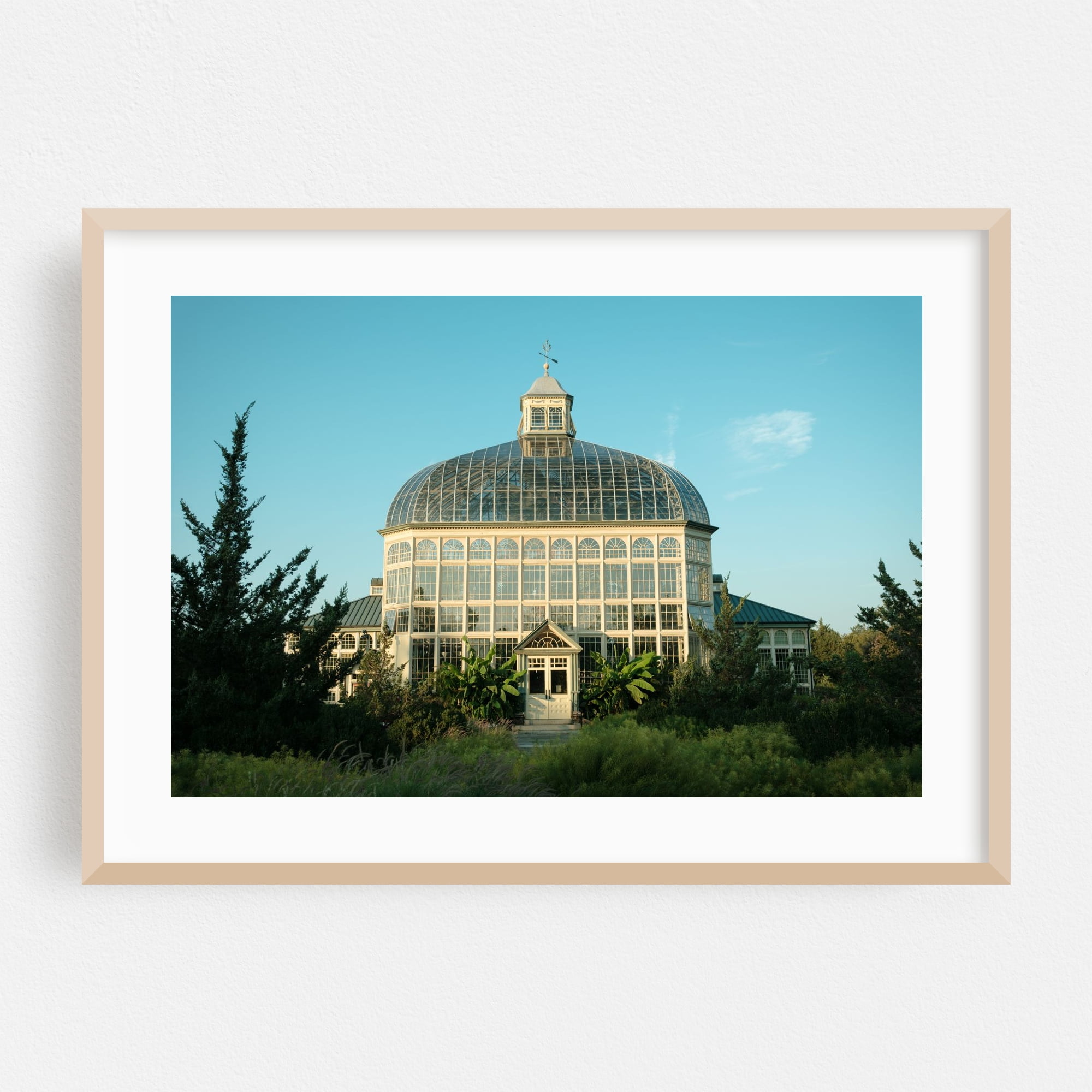 Rawlings Conservatory, Baltimore 05 - Baltimore Maryland Photography ...