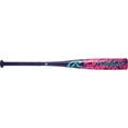 Rawlings Threat USSSA Baseball Bat | 30-Inch | -12 - Walmart.com