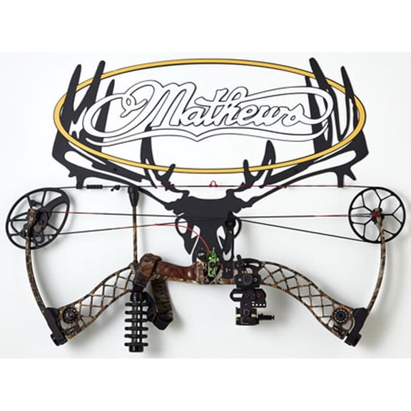Mathews Bow Case