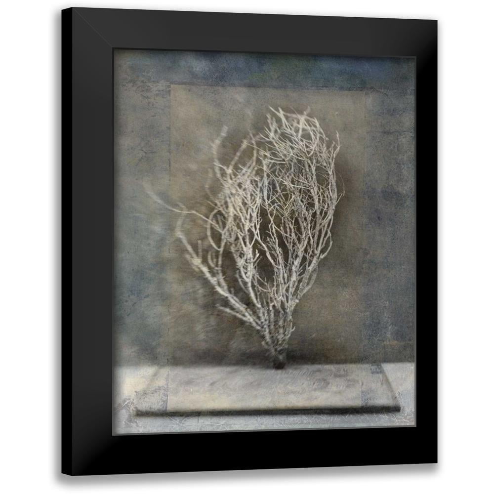Ray, Elena 12x14 Black Modern Framed Museum Art Print Titled - Desert ...