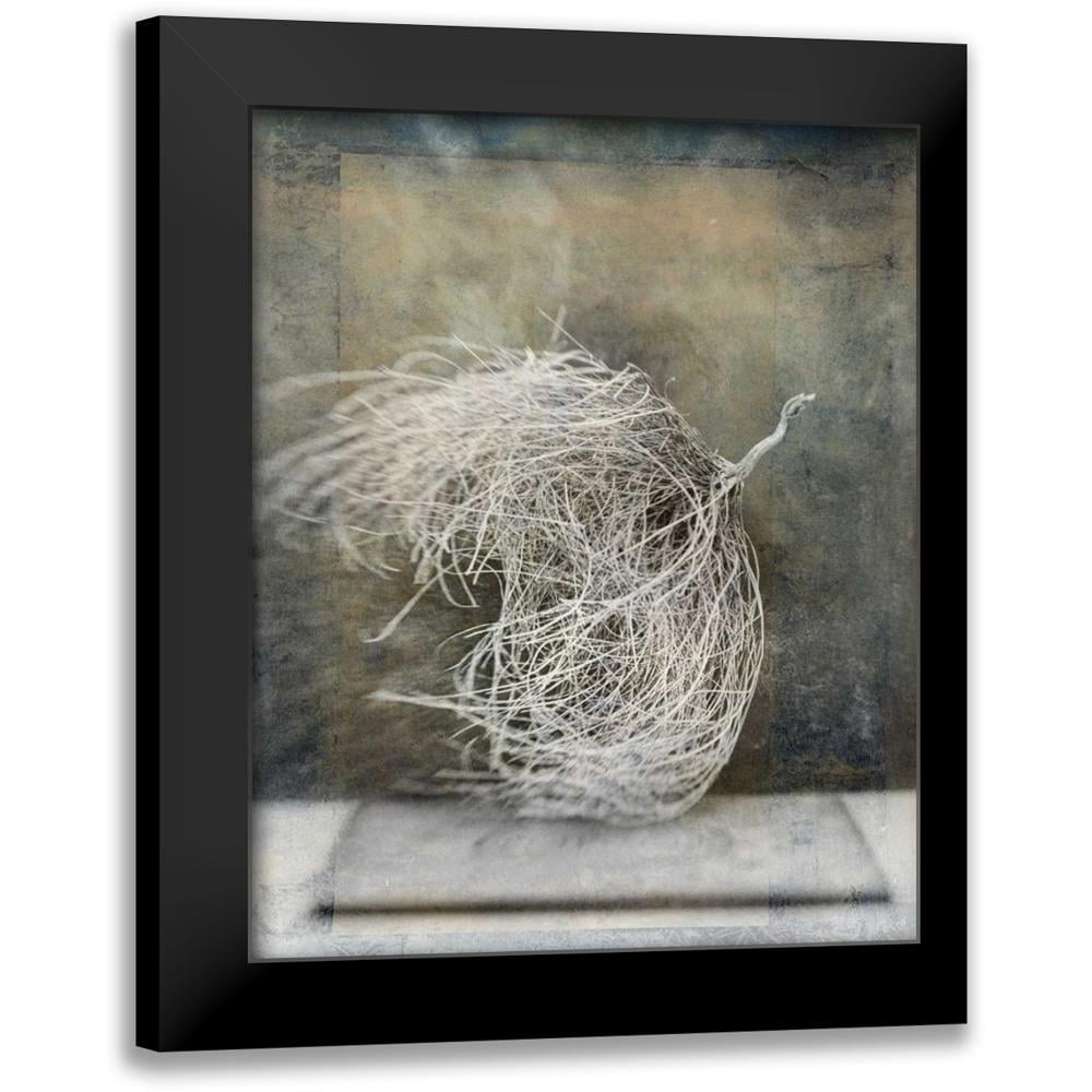 Ray, Elena 12x14 Black Modern Framed Museum Art Print Titled - Desert ...