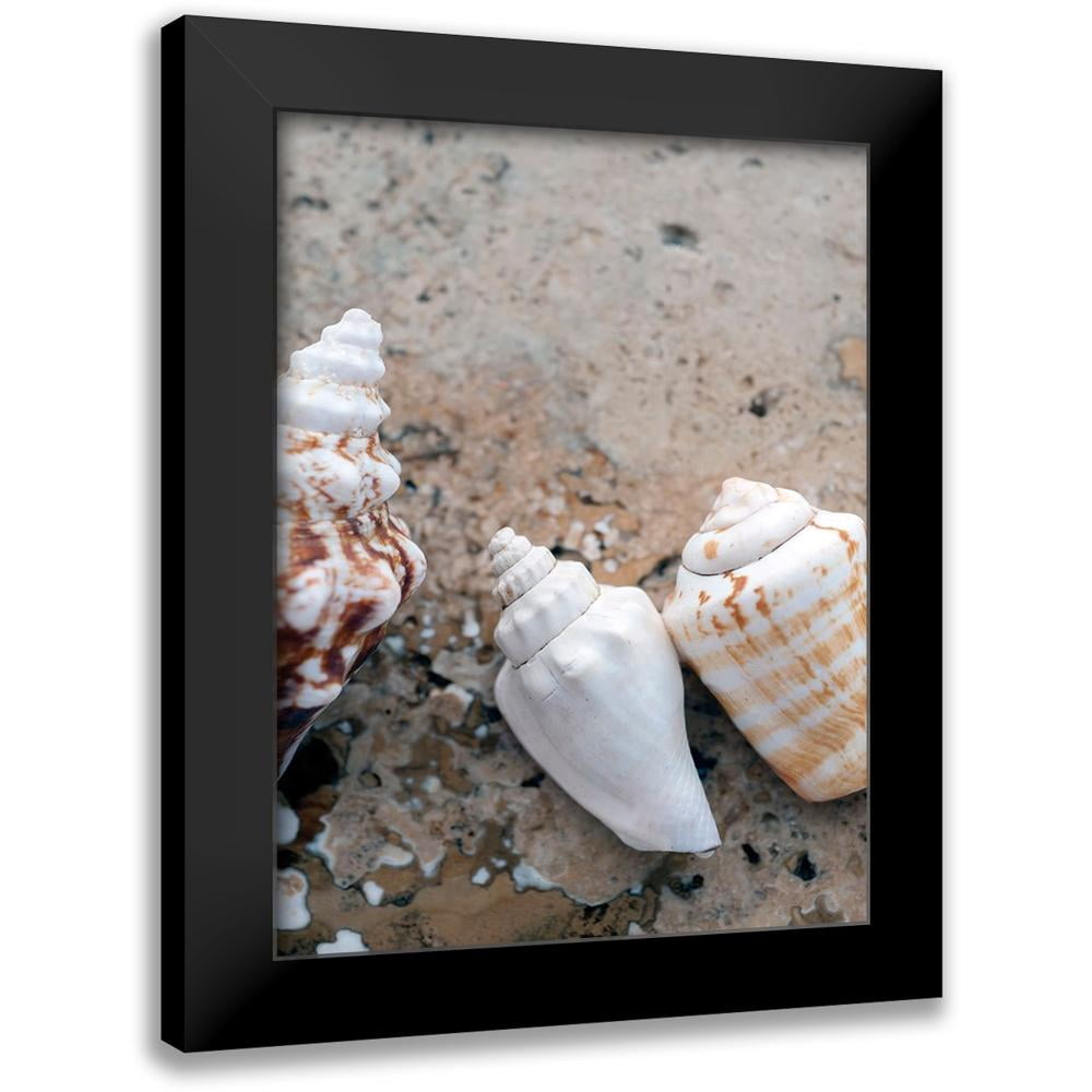 Ray, Elena 12x14 Black Modern Framed Museum Art Print Titled - Gifts of ...