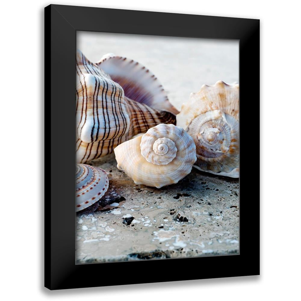 Ray, Elena 12x14 Black Modern Framed Museum Art Print Titled - Gifts of ...