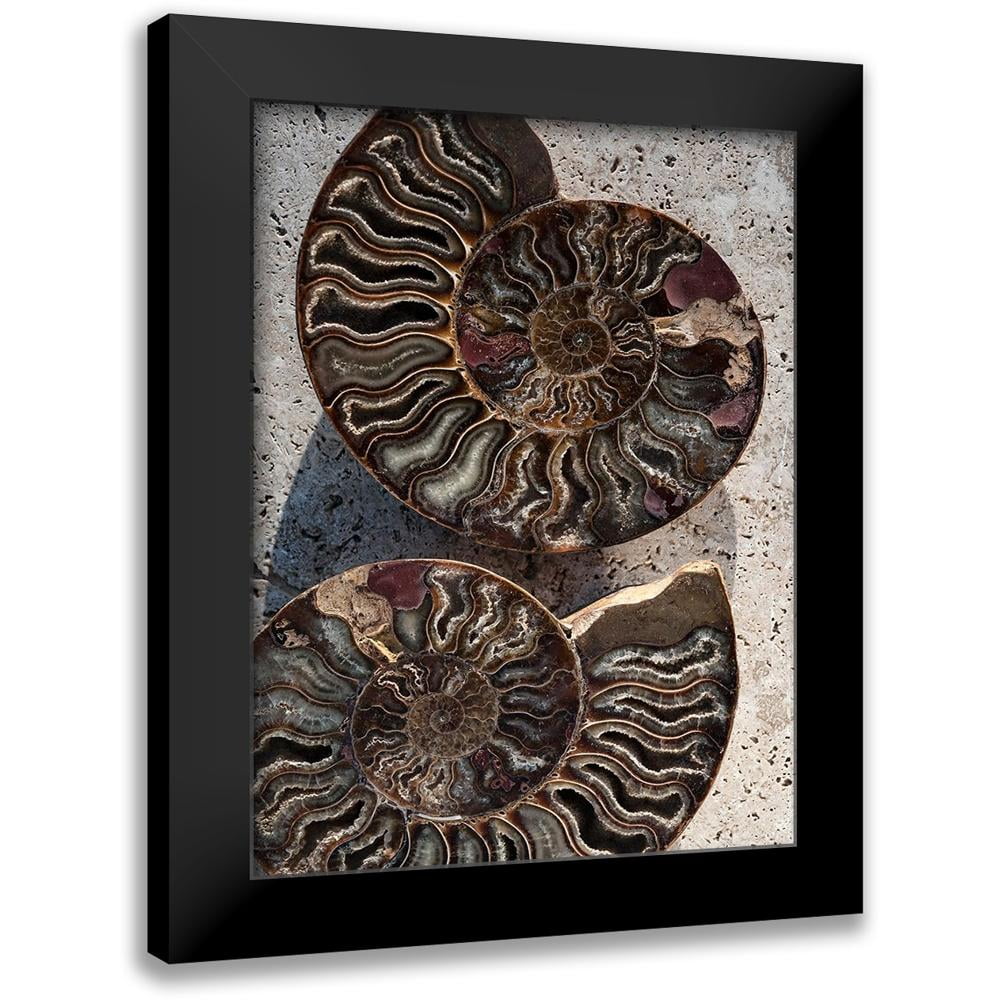 Ray, Elena 12x14 Black Modern Framed Museum Art Print Titled - Gifts of ...