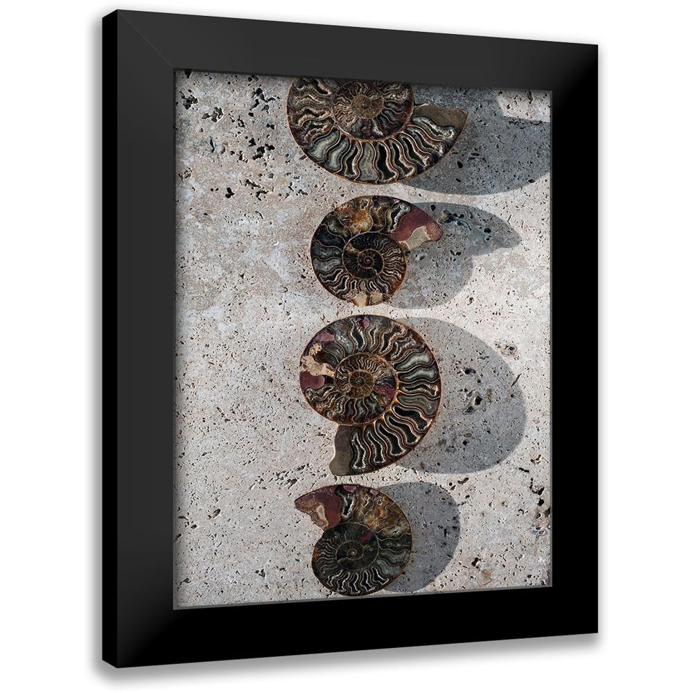 Ray, Elena 12x14 Black Modern Framed Museum Art Print Titled - Gifts of ...