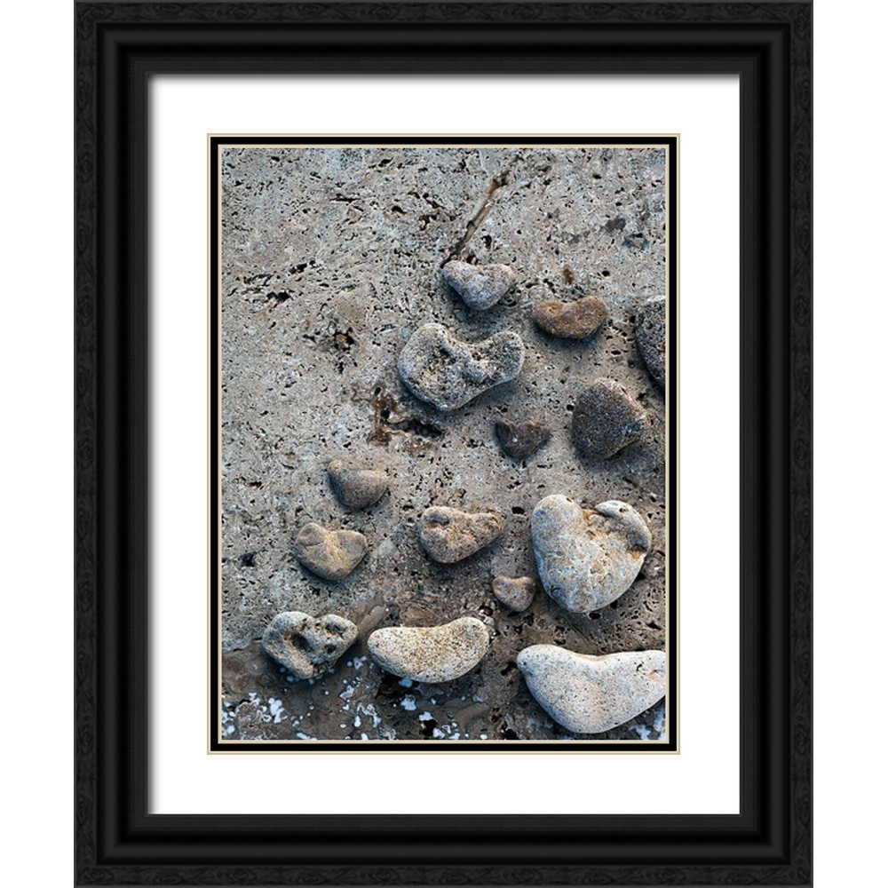 Ray, Elena 12x14 Black Ornate Wood Framed with Double Matting Museum ...