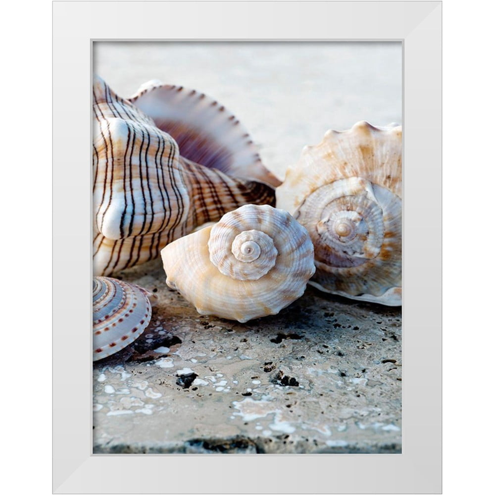 Ray, Elena 12x14 White Modern Wood Framed Museum Art Print Titled ...