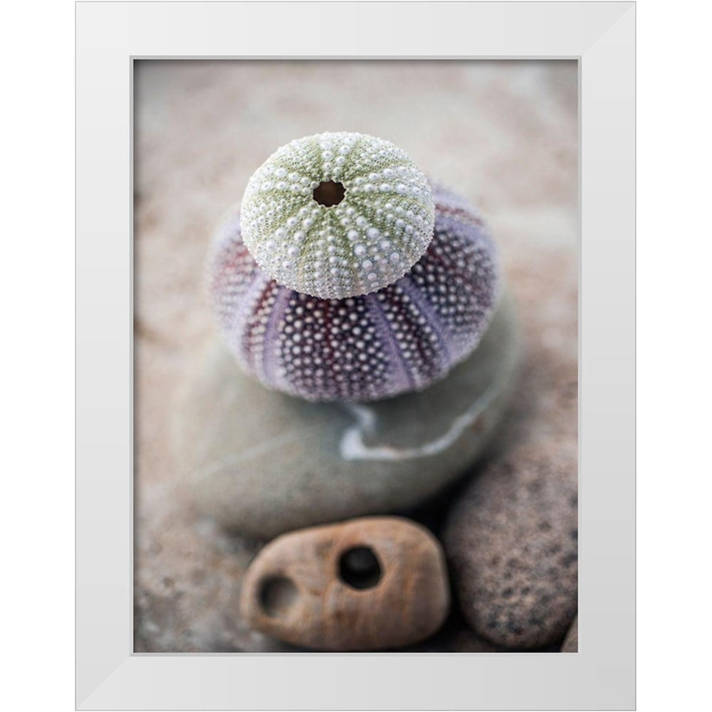 Ray, Elena 12x14 White Modern Wood Framed Museum Art Print Titled ...