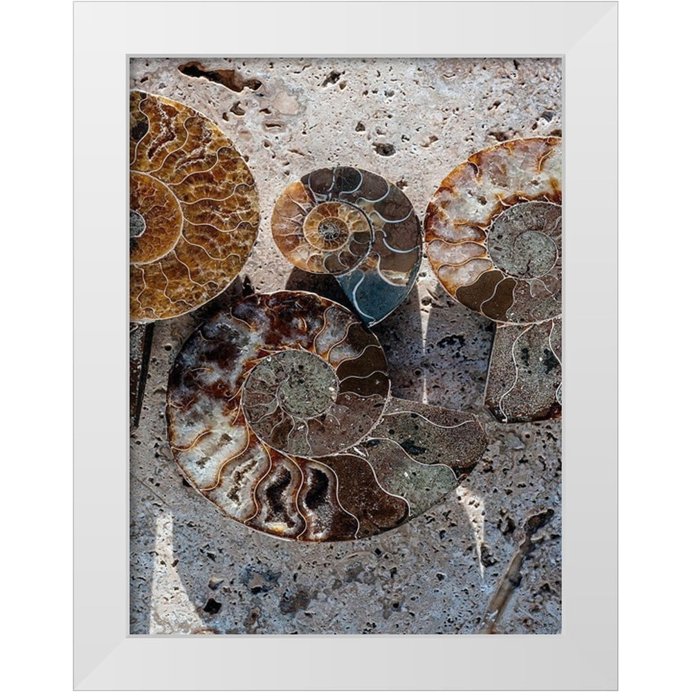 Ray, Elena 12x14 White Modern Wood Framed Museum Art Print Titled ...